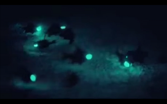 Flashlight fish - Memy.pl