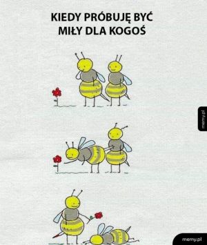 Memy.pl - Zbiór najlepszych memów & generator memów